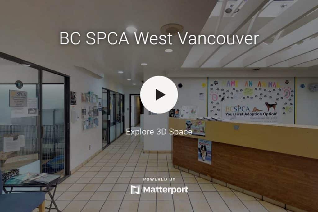 BC SPCA West Vancouver - 360Pros